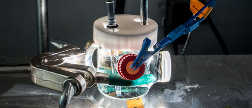 Semiconductor Research Could Lead to Artificial Photosynthesis System ...