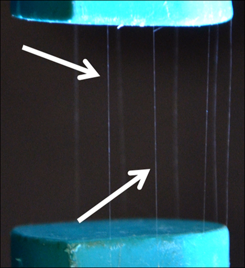 Renewable Materials Form Strongest Artificial Spider Silk - Research ...