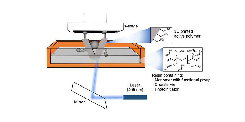 One-Step 3D Printing of Catalysts Developed - Research & Development World