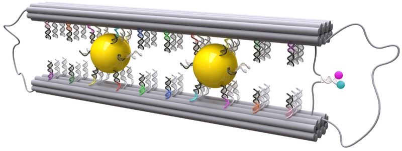 DNA Origami Mimics Natural Nanoscale Movements - Research & Development ...