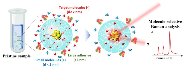Molecular Sensor Performs In-Situ Analysis of Complex Biological Fluids ...