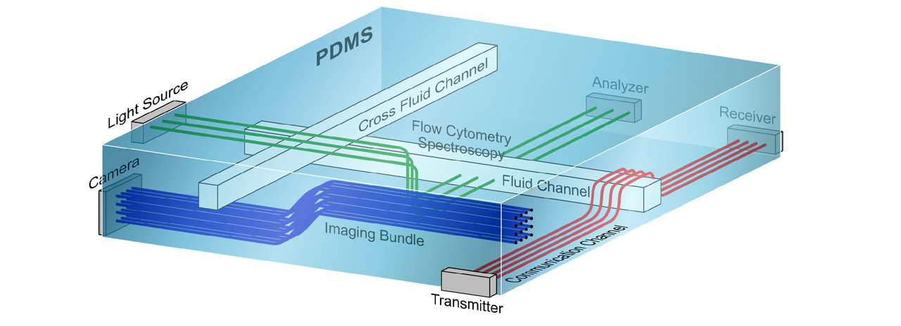 Tiny Light-guiding Structures Improve Biomedical Devices, Wearables ...